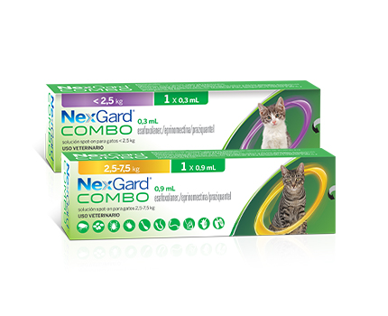 NexGard® COMBO | Complete Parasitic Protection Solution for Cats
